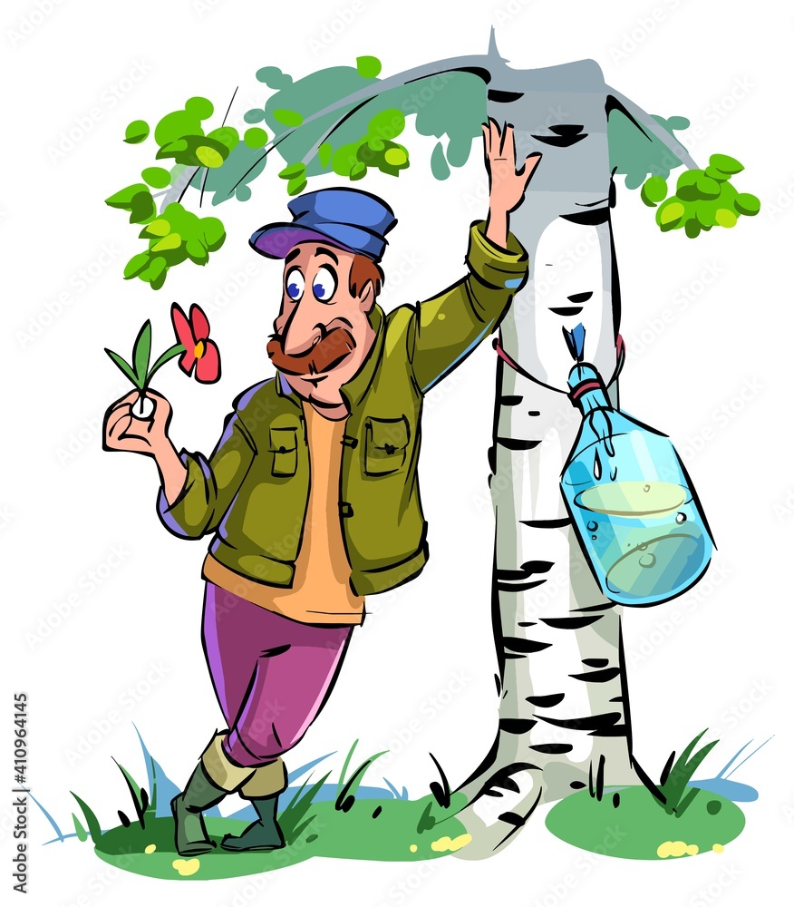 Cartoon romantic peasant admires a flower and collects birch sap. Stock ...