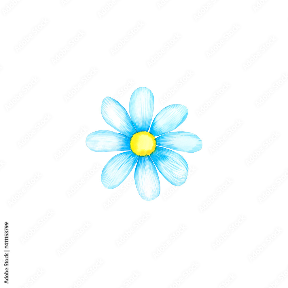Watercolor cute blue daisy close-up in full face isolated on white ...