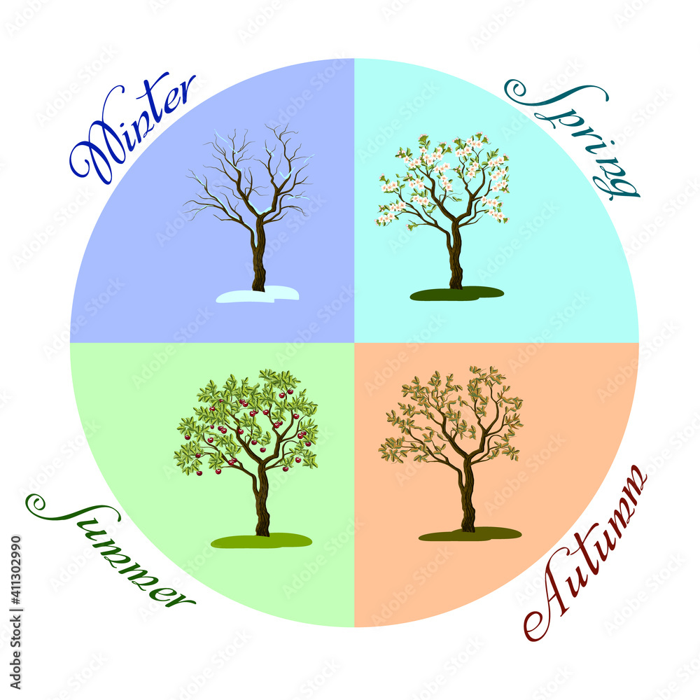 Seasons in the form of an emblem.Four seasons in vector illustration ...