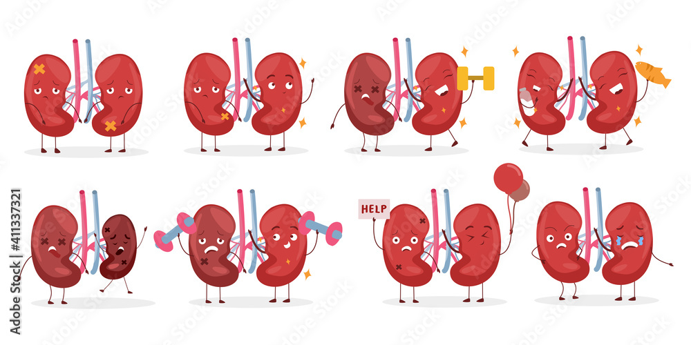 vektor collection cartoon doodle kidney character, nice and smiling ...
