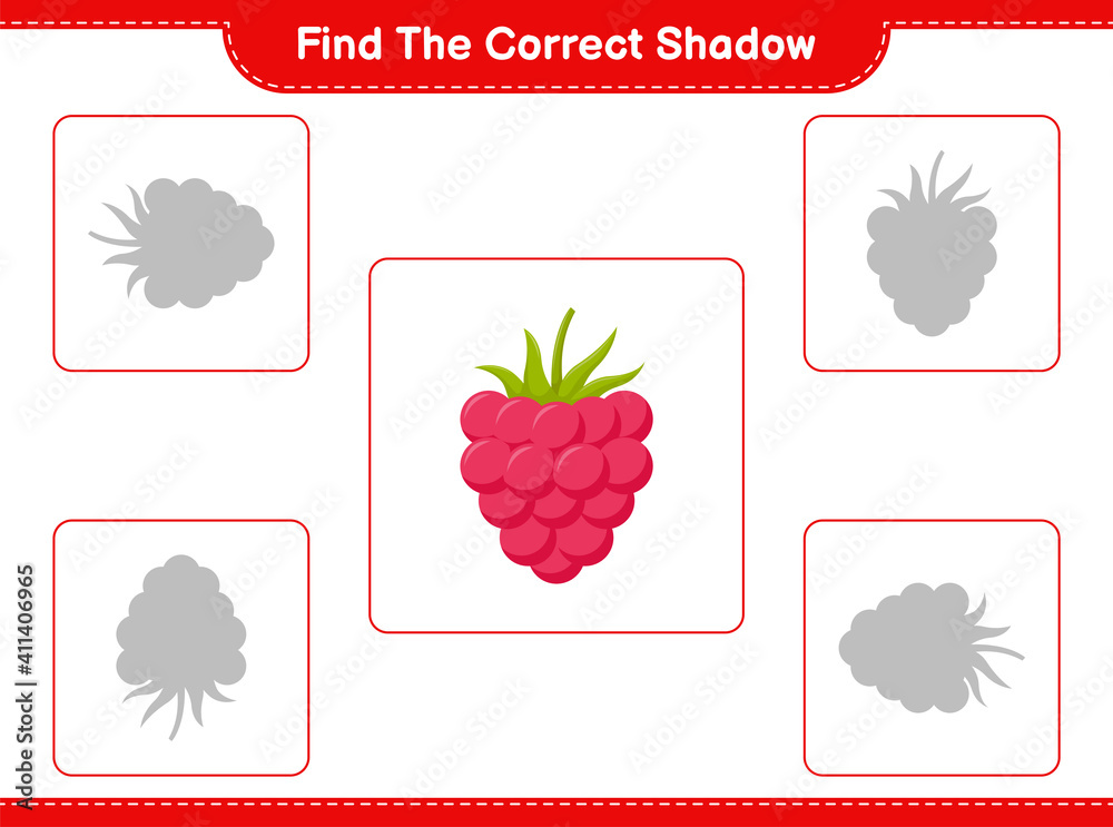 Find the correct shadow. Find and match the correct shadow of ...
