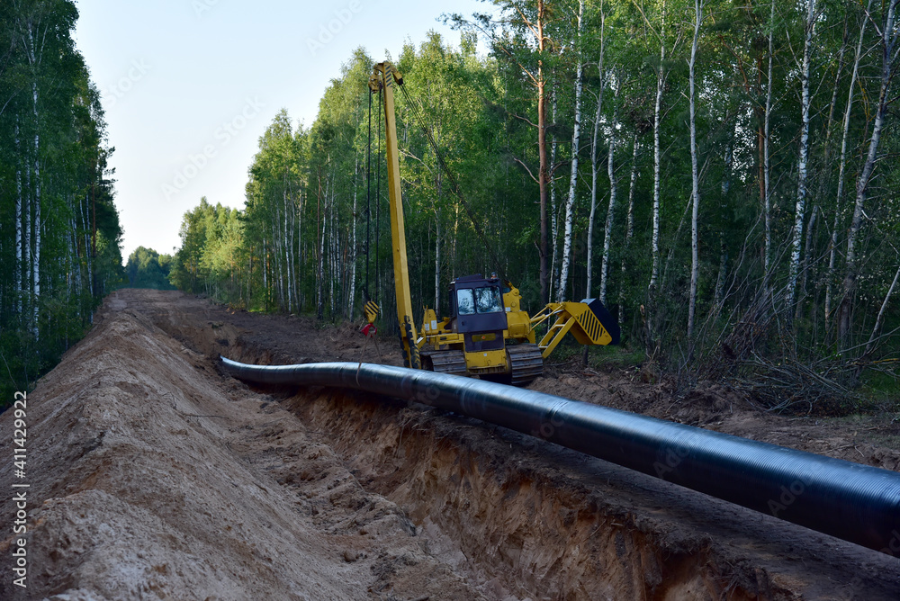 Natural gas pipeline construction work in forest area. Petrochemical ...