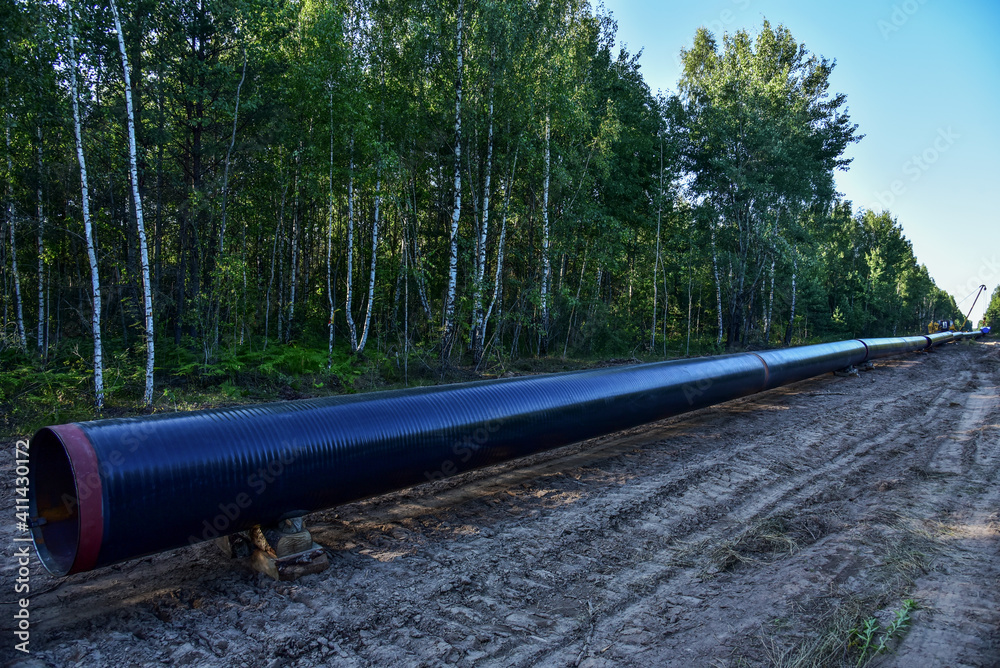 Natural gas pipeline construction work in forest area. Petrochemical ...