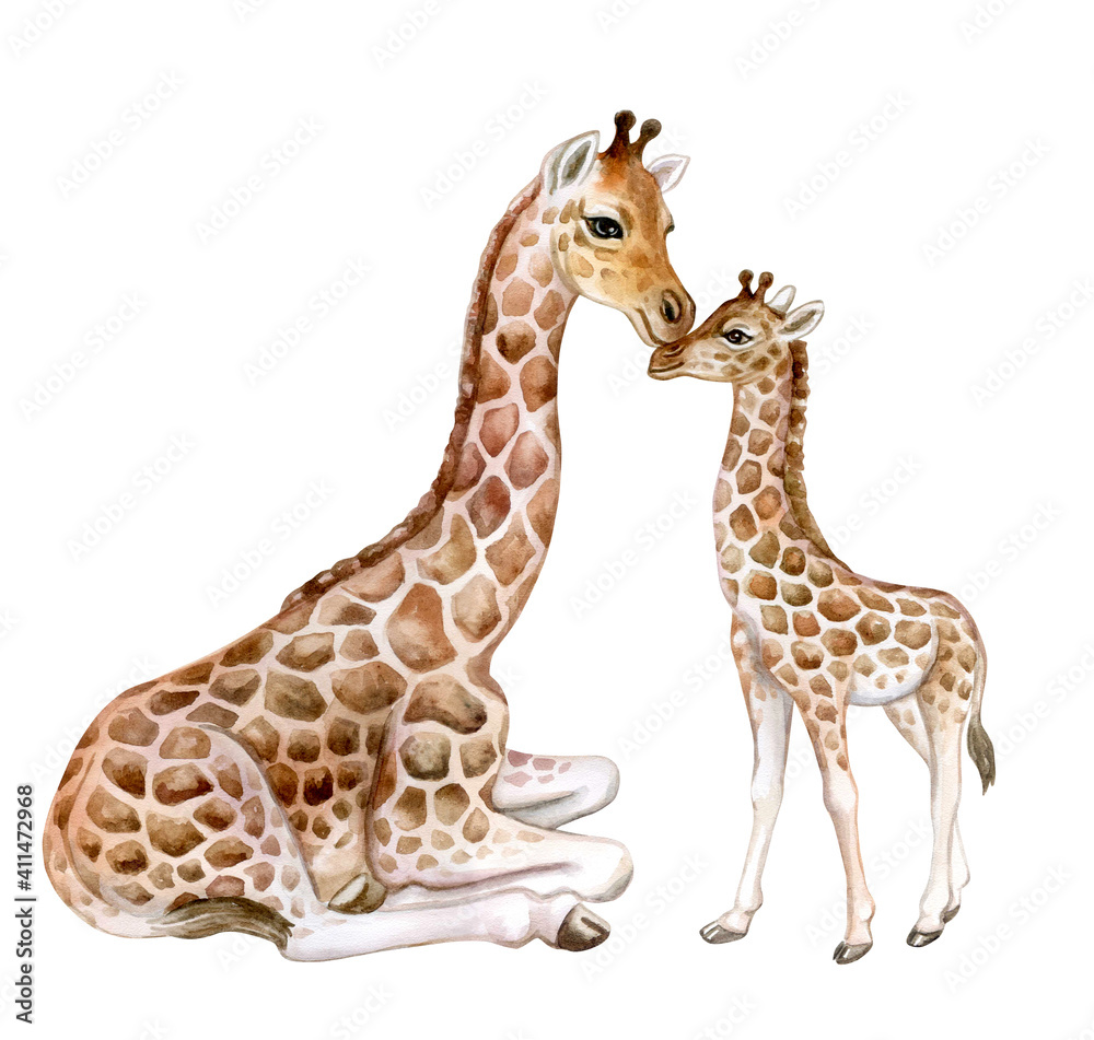 Giraffes. Mum with baby isolated on white background. Motherhood ...