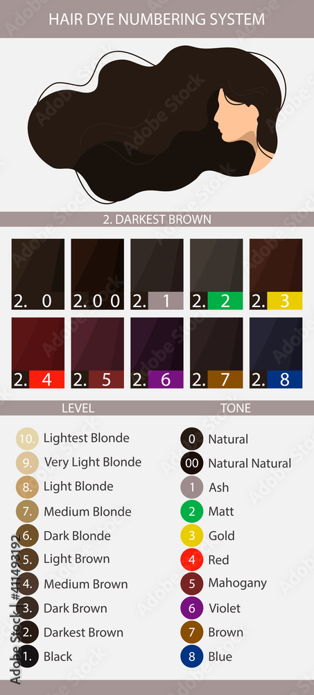 Stock vector palette with hair dye numbering system, levels, tones and ...