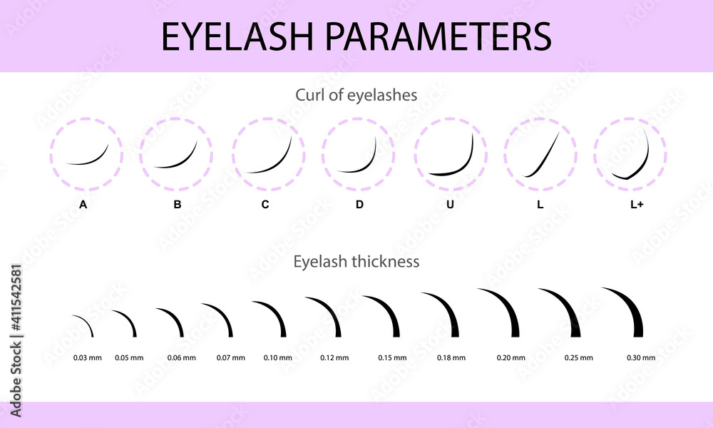 Eyelash Extension Guide. Direction schemes. Tips and tricks for eyelash ...