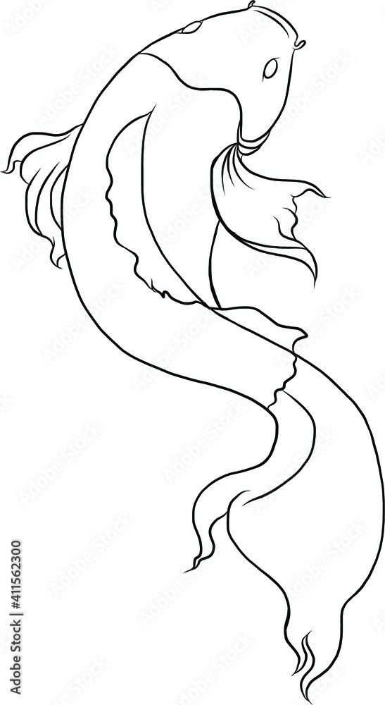 Dragon Koi Fish Drawing Outline