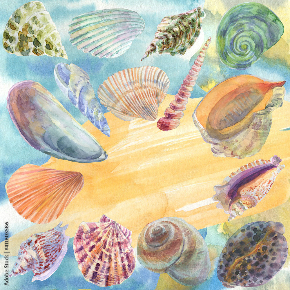 Watercolor frame sea shells on white background, Watercolor frame, sea ...