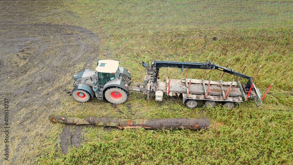 Traktor mit Anhänger und Greifer neben einem gefällten Baum ...