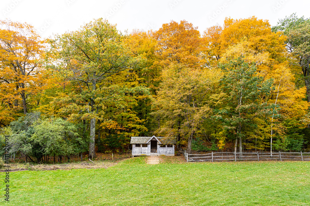 landscape front view of fall colors of trees above and around cottage ...