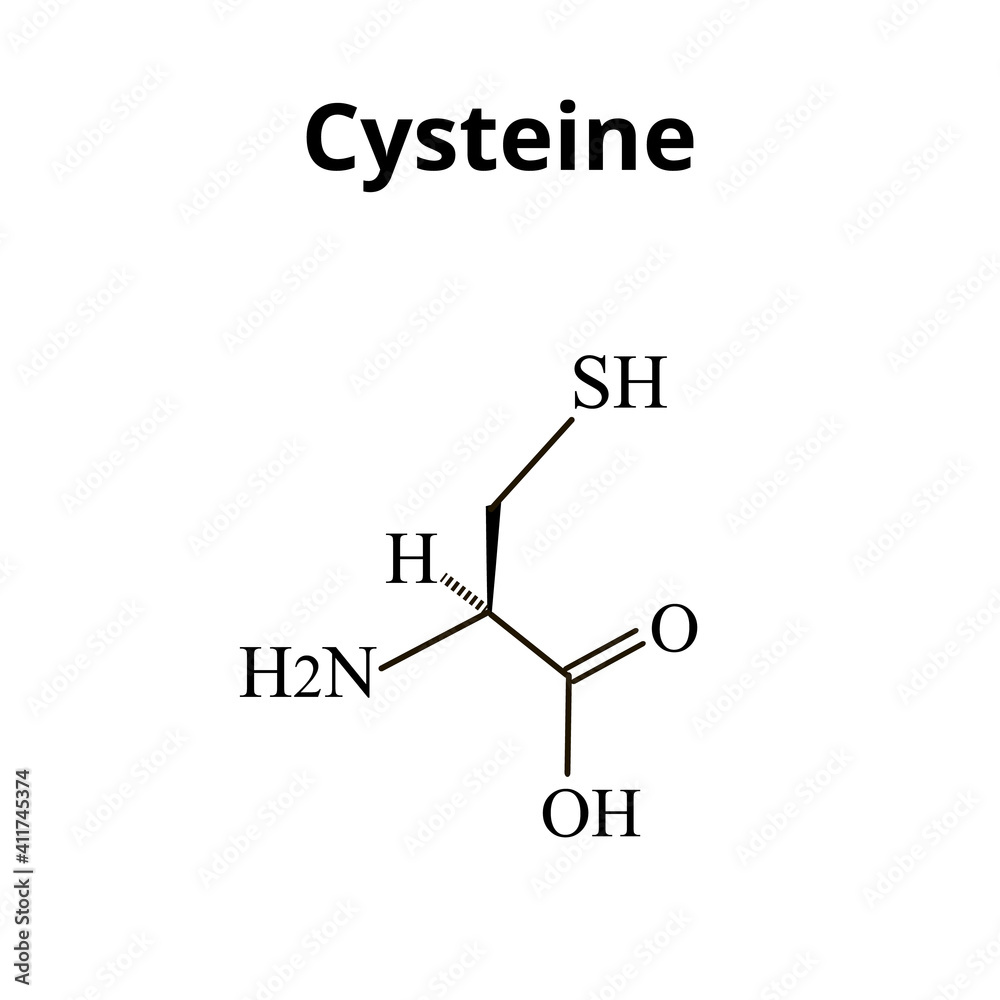 The amino acid Cysteine. Chemical molecular formula Cysteine amino acid ...