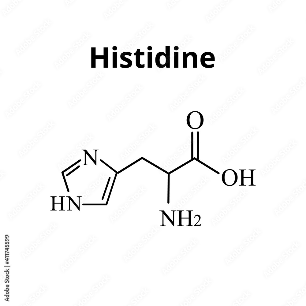 Amino acid Histidine. Chemical molecular formula Histidine amino acid ...