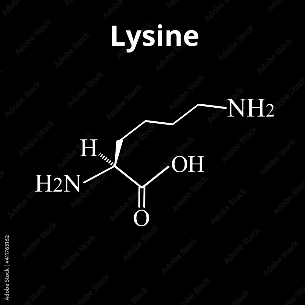 Amino acid Lysine. Chemical molecular formula Lysine is an amino acid ...
