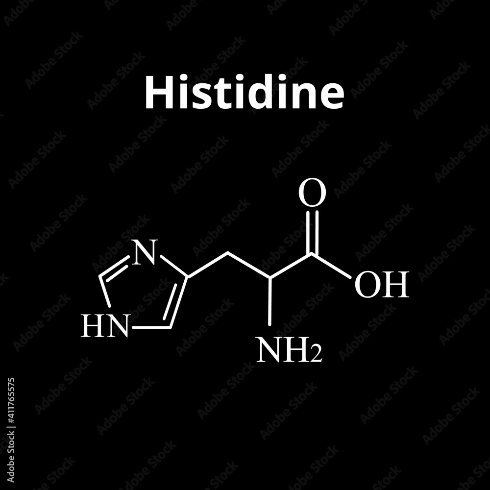 Amino acid Histidine. Chemical molecular formula Histidine amino acid ...