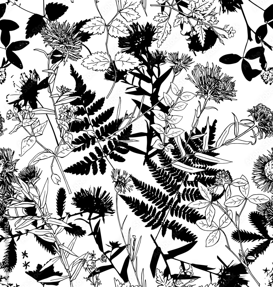 Seamless floral pattern. Herbarium wildflowers, cornflowers, herbs ...
