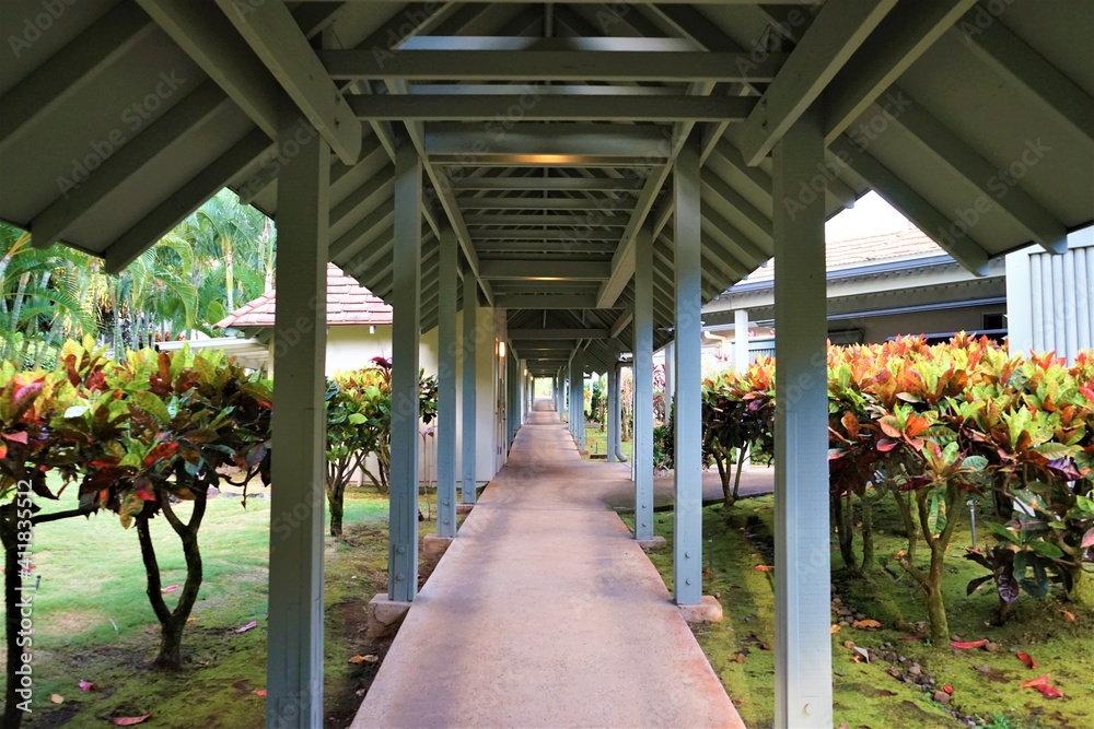 Perspective of the long outside corridor with roof and nature view - 外の ...