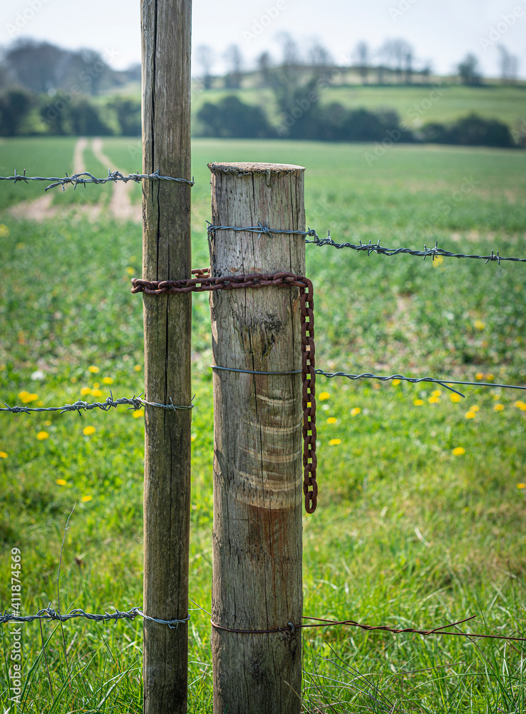 Fence posts chained with rusty link chain to keep them together forming ...