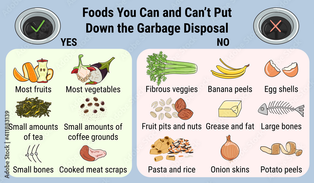 Infographic of food waste disposer for home kitchen sink with kitchen ...