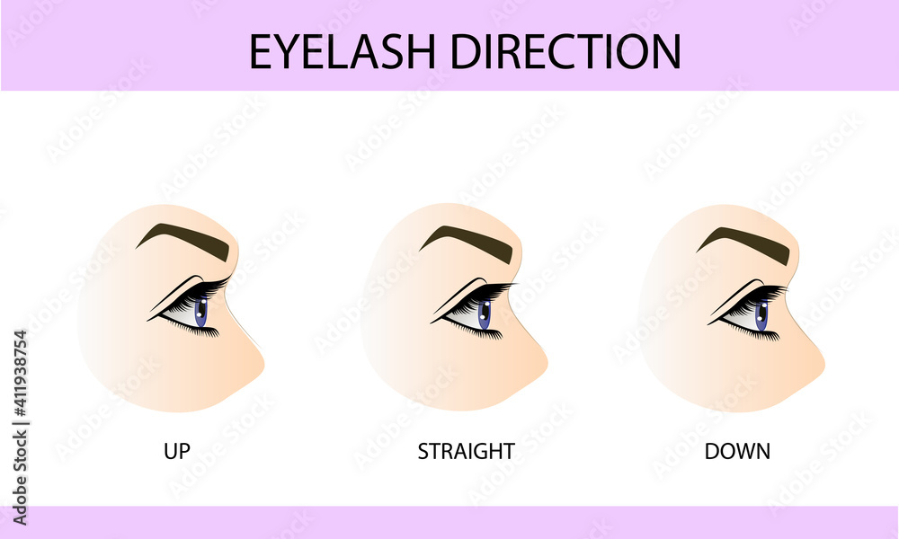 Eyelash growth types, up, down and straight, information for eyelash ...