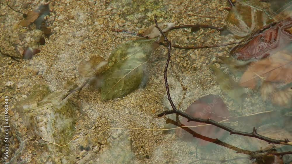 Close up, static shooting of a puddle or water formation with sandy ...