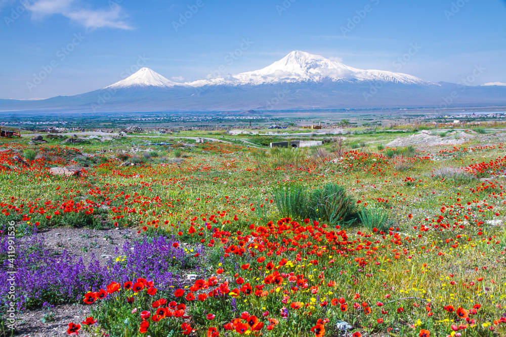 Mount Ararat (Turkey) at 5,137 m viewed from Yerevan, Armenia. This ...
