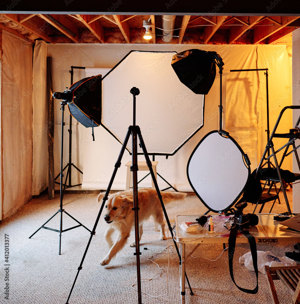 lighting set up in a photography studio located in a basement of a ...