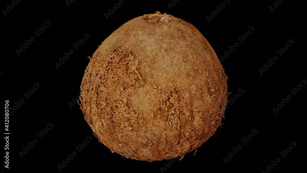 Realistic render of a spinning Husked Ripe Coconut on transparent ...