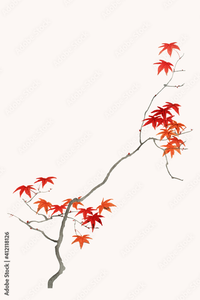 Japanese Maple Leaves Art