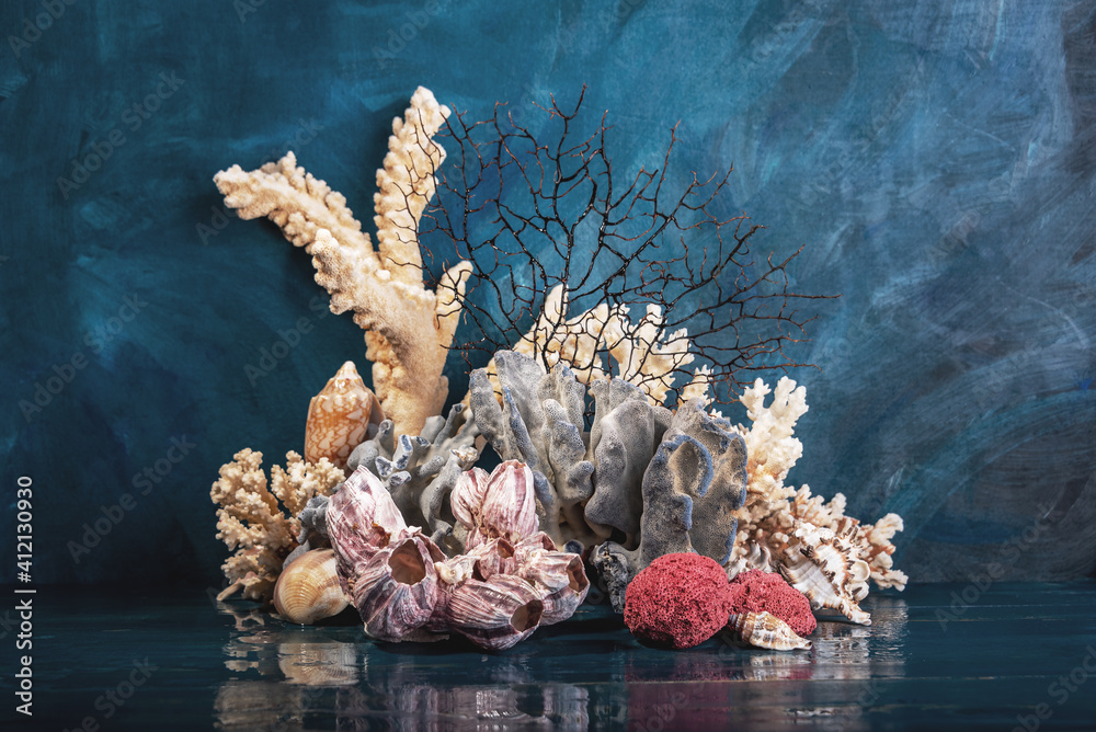 Corals and sea shells on a sea colours background. Stock Photo | Adobe ...