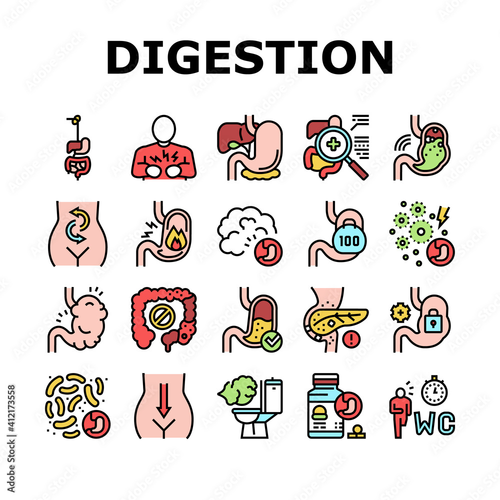 Digestion Disease And Treatment Icons Set Vector. Digestion System And ...