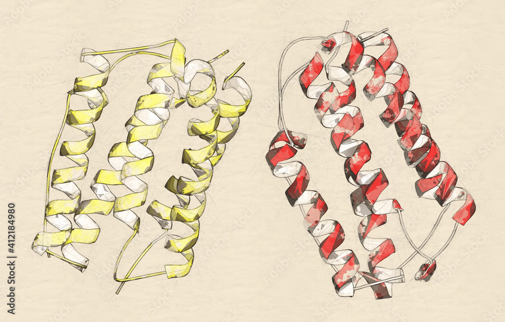 ภาพประกอบสต็อก Interferon beta protein. Cytokine used to treat multiple ...