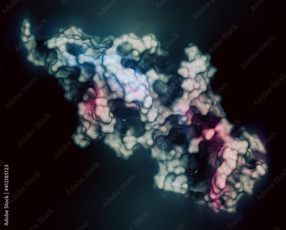 Human Chorionic Gonadotropin (hCG) glycoprotein hormone, chemical ...