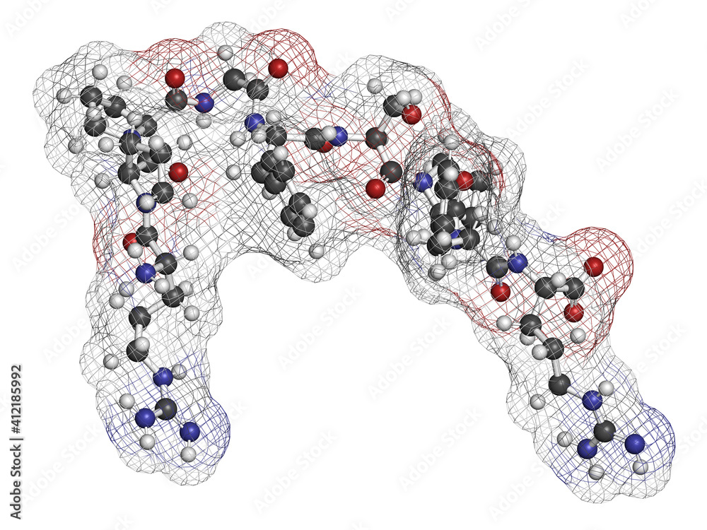 Bradykinin peptide molecule. 3D rendering. Atoms are represented as ...