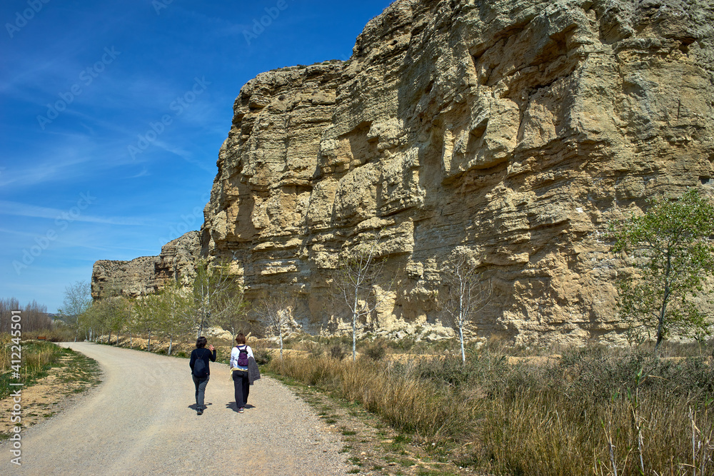 Foto de Galacho de Juslibol, unique and singular ecosystem, a protected ...