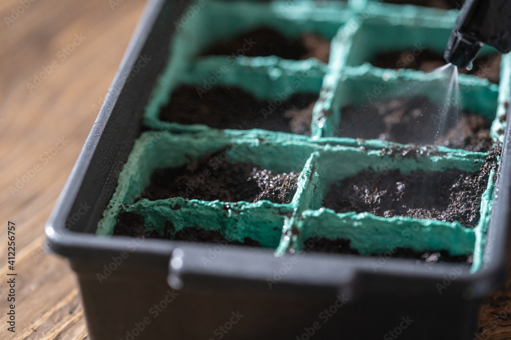 Spring song of seeds and planting seedlings of agricultural plants ...