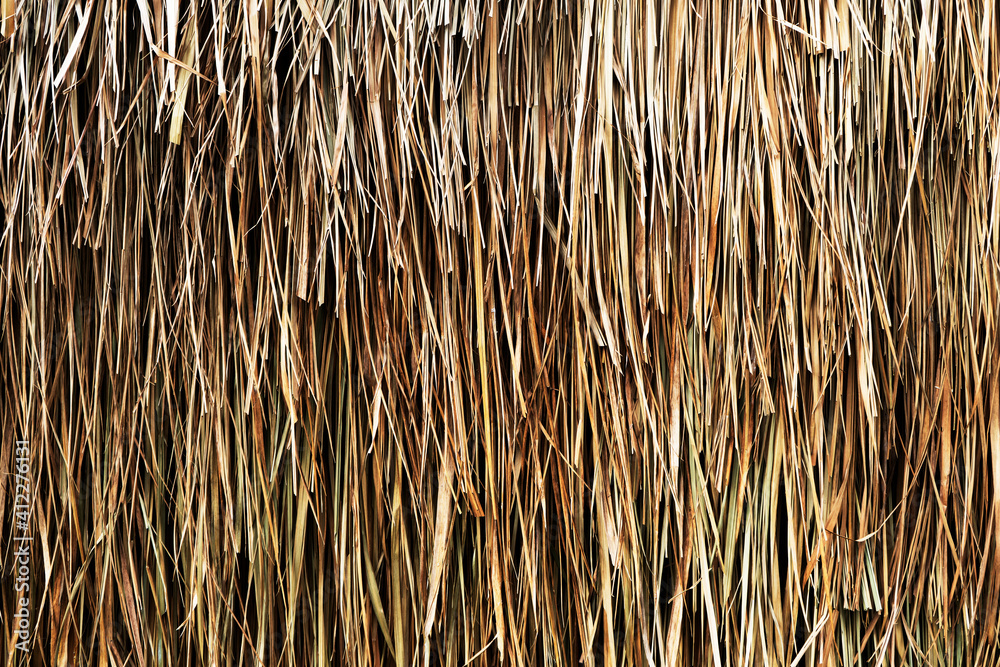 The thatched roof texture or background Stock Photo | Adobe Stock