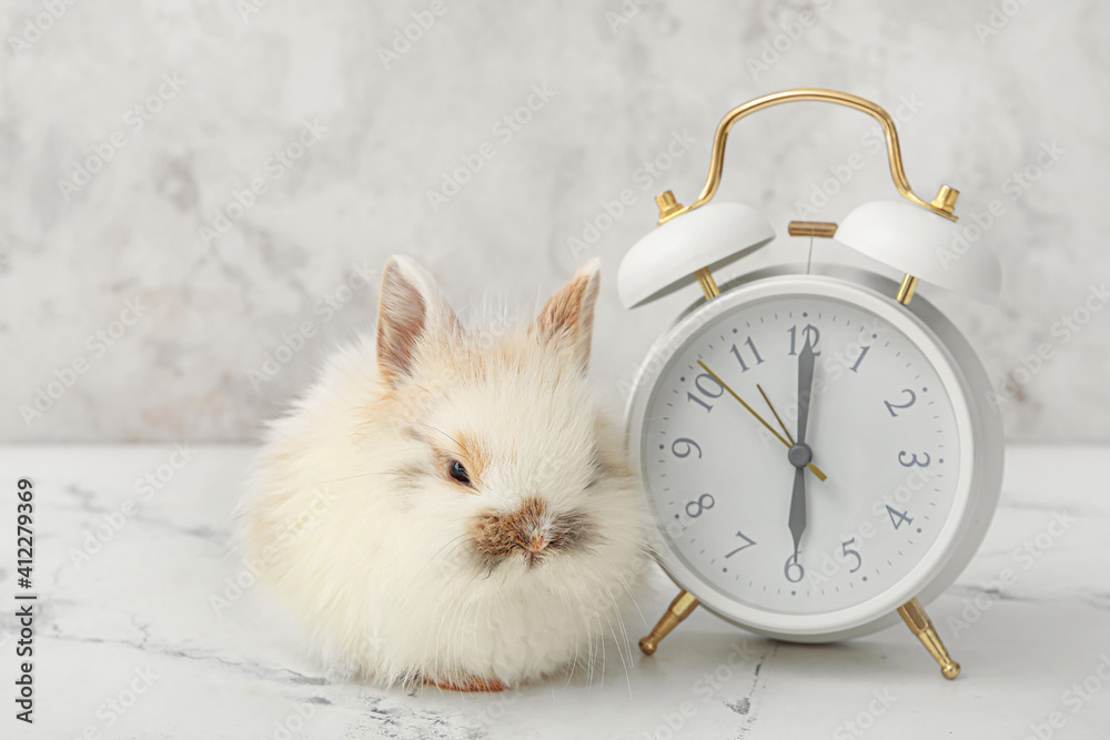 Cute fluffy rabbit and alarm clock on light table Stock Photo | Adobe Stock