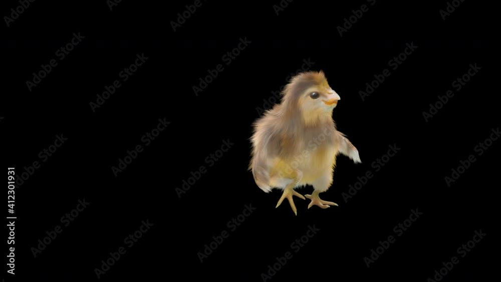 Vidéo Stock Baby Chickens Dance CG fur 3d rendering animal realistic ...