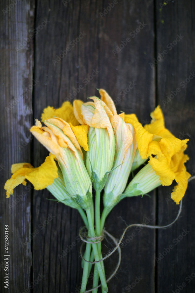 Vibrant Yellow Squash Blossom Freshly Picked From The Garden Stock ...