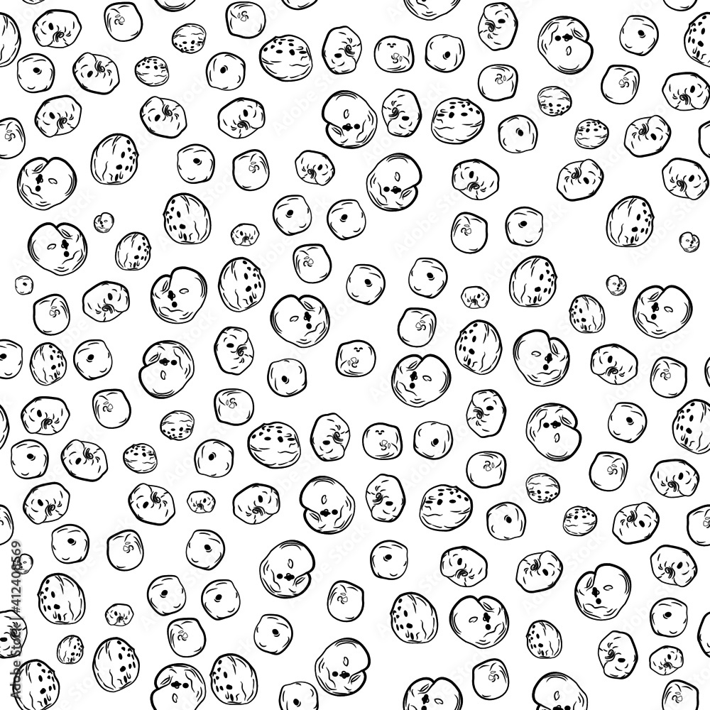 Makhana vector Fox nut or roasted lotus vector illustration pattern ...