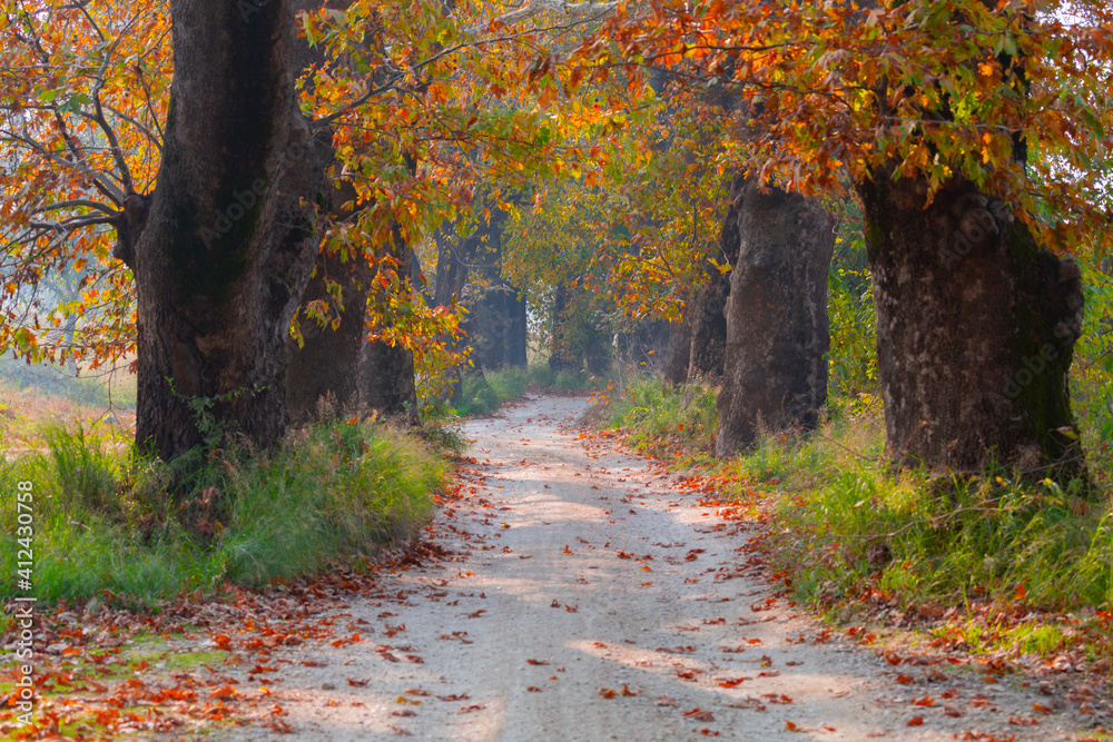 Bursa Lipsli Village and Cinarli Road. Bursa is the city where ...