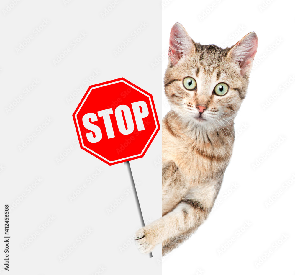 Cat holds the "stop" sign and looks from behind empty white banner ...