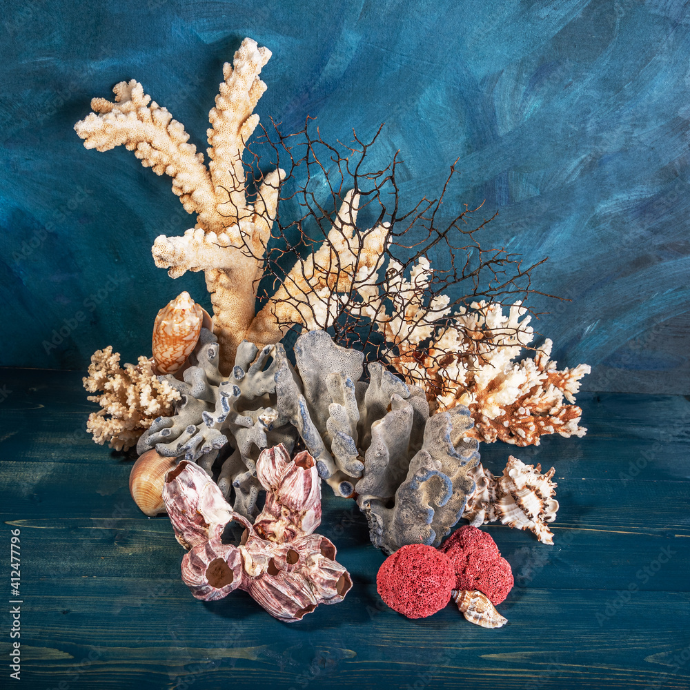 Corals and sea shells on a sea colours background. Stock Photo | Adobe ...
