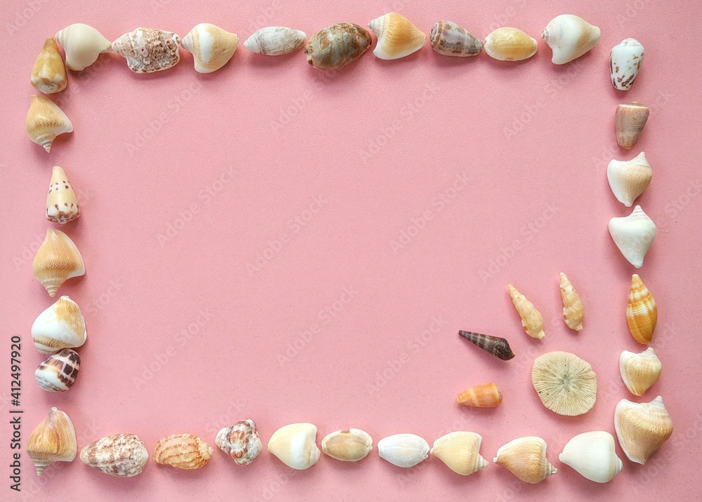 Foto de Sea animal shells, nature concept suitable for backgrounds and ...