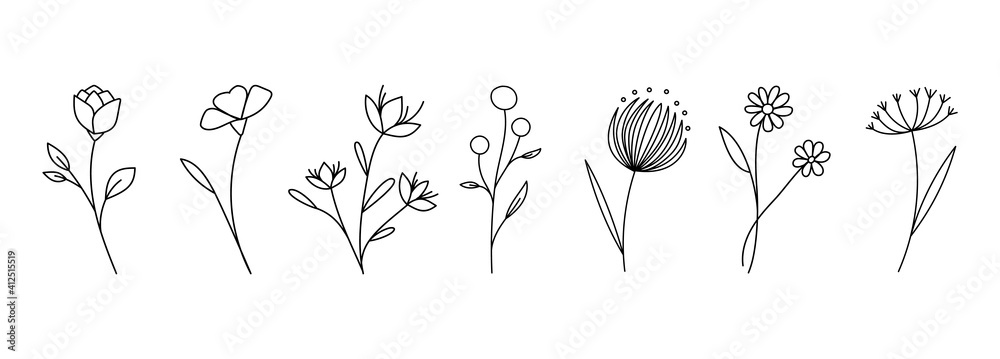 Botanical linear flower set. Abstract creative floral collection ...