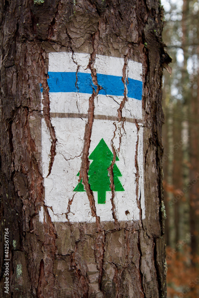 Hiking path symbols on a tree in a shape of a christmas tree and a blue ...