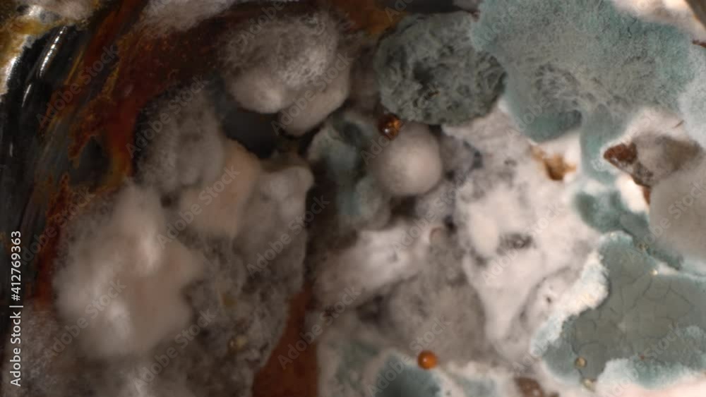 Mold growth inside the glass jar macro shot. Food spoilage, food loss ...