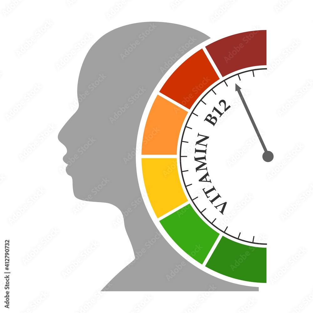 Gradient scale. vitamin b 12 level measuring device. Sign tachometer ...