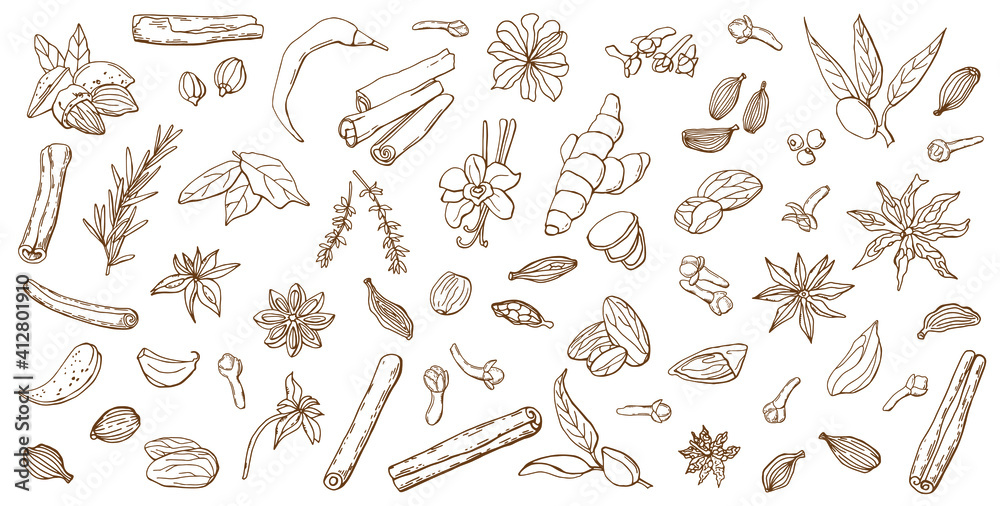 Linear set of various spices. Line art. White background, isolate ...