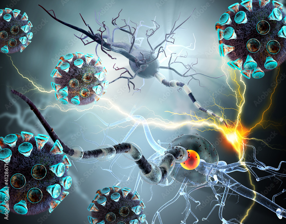 3d illustration of nerve cells, neurons, concept for Neurological ...